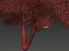 Winter tree 6 meters 3D model | CGTrader