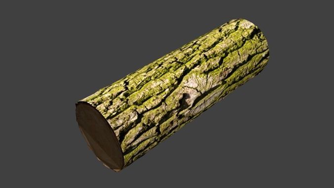 tree trunk free 3D model | CGTrader