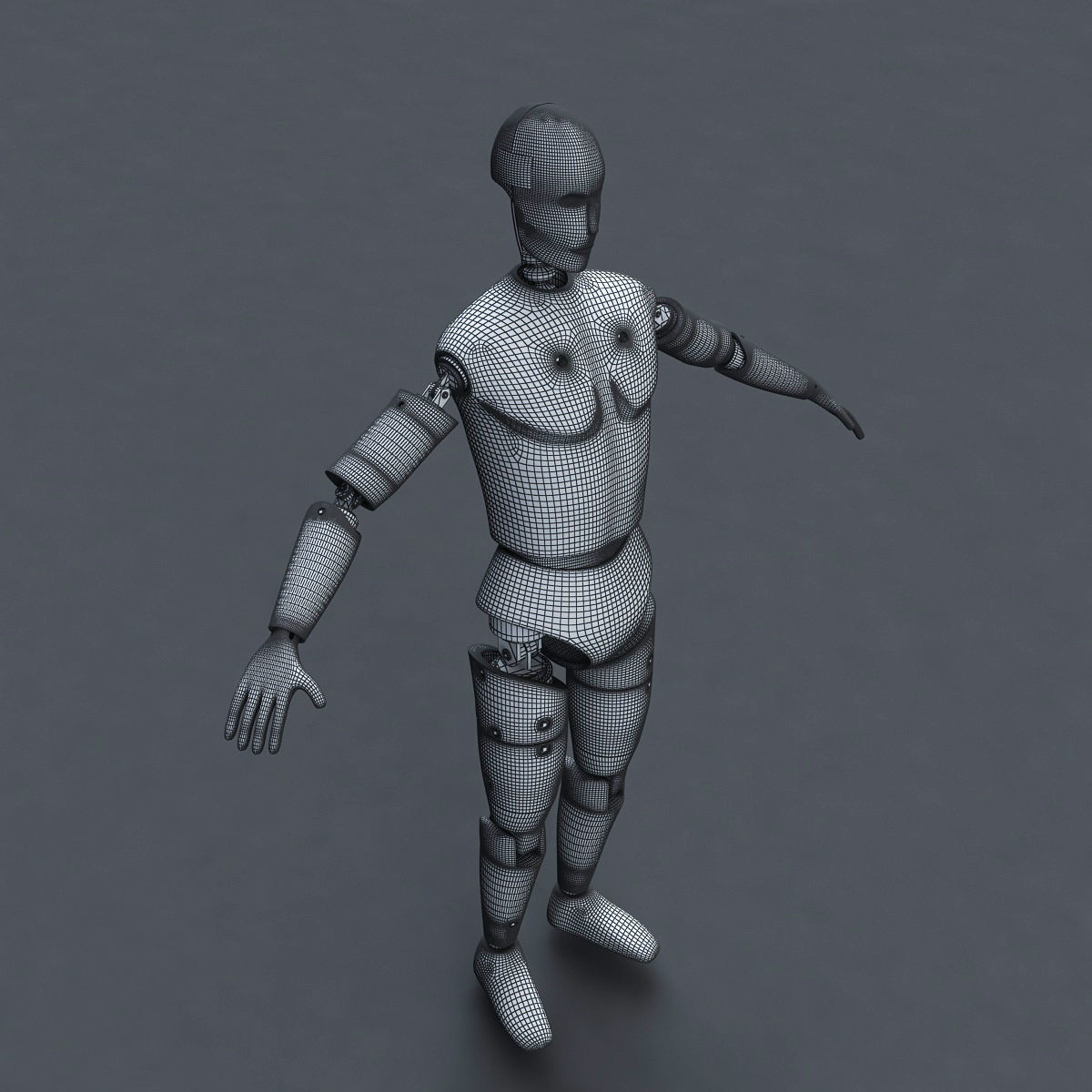 Male Crash Test Dummy 3D model | CGTrader
