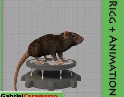 Rat 3D Models | CGTrader