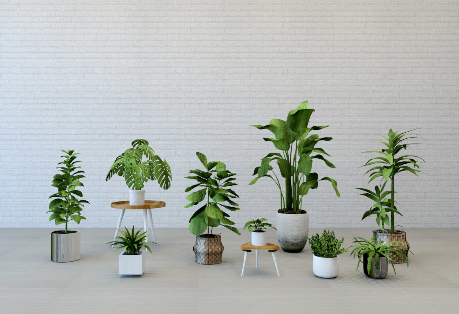 Tree Collection For Revit 3D model | CGTrader