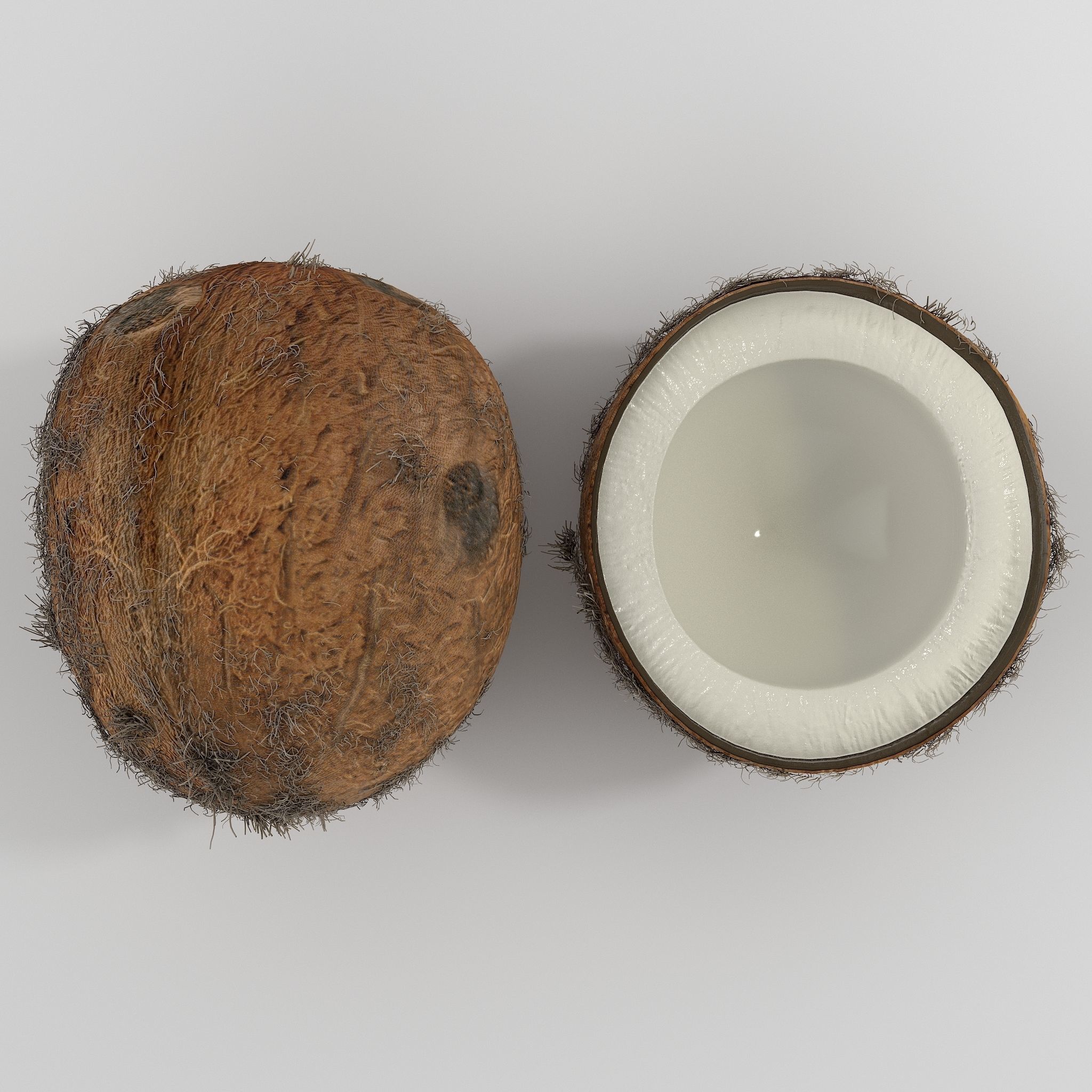 3D model Realistic Coconut VR / AR / low-poly | CGTrader