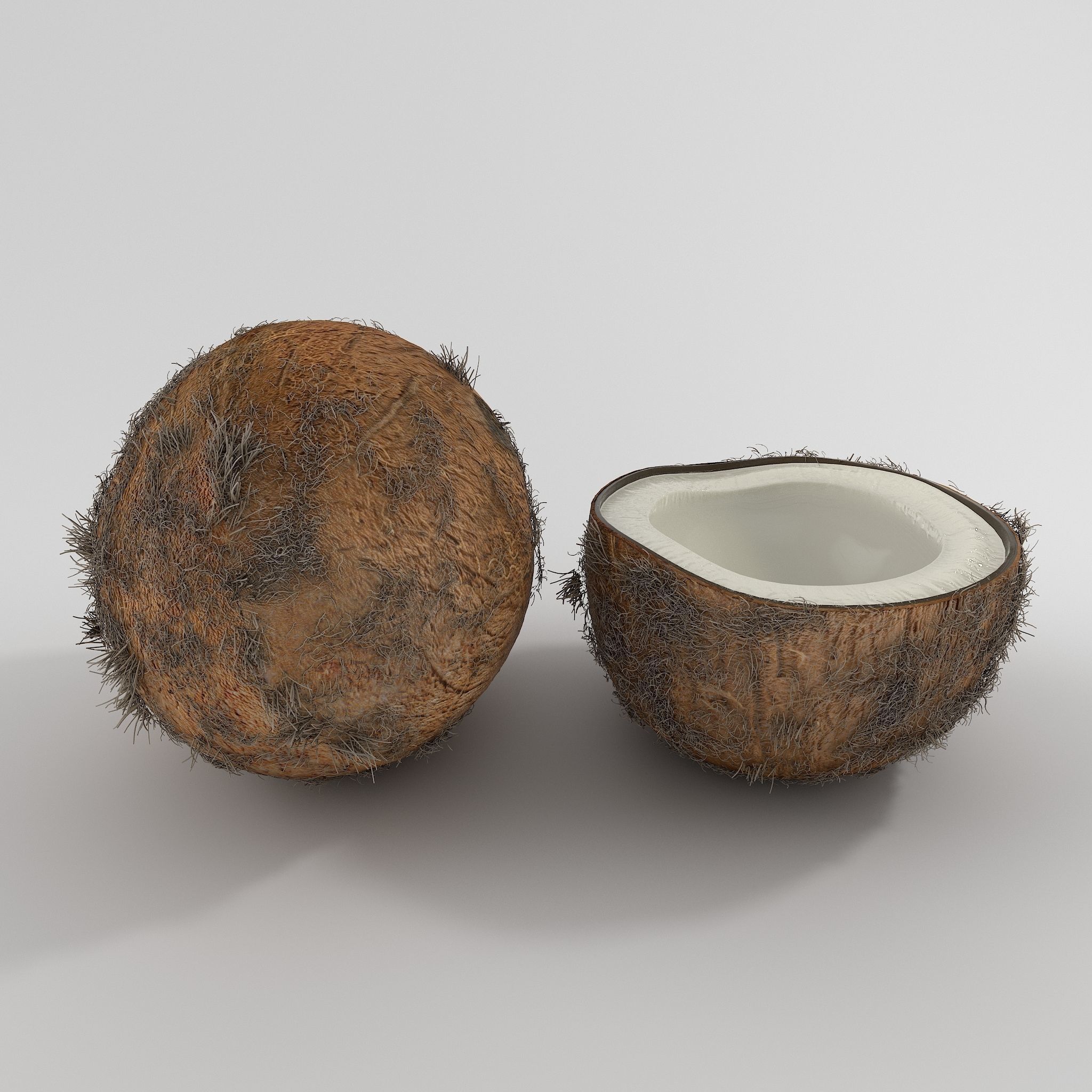 3D model Realistic Coconut VR / AR / low-poly | CGTrader