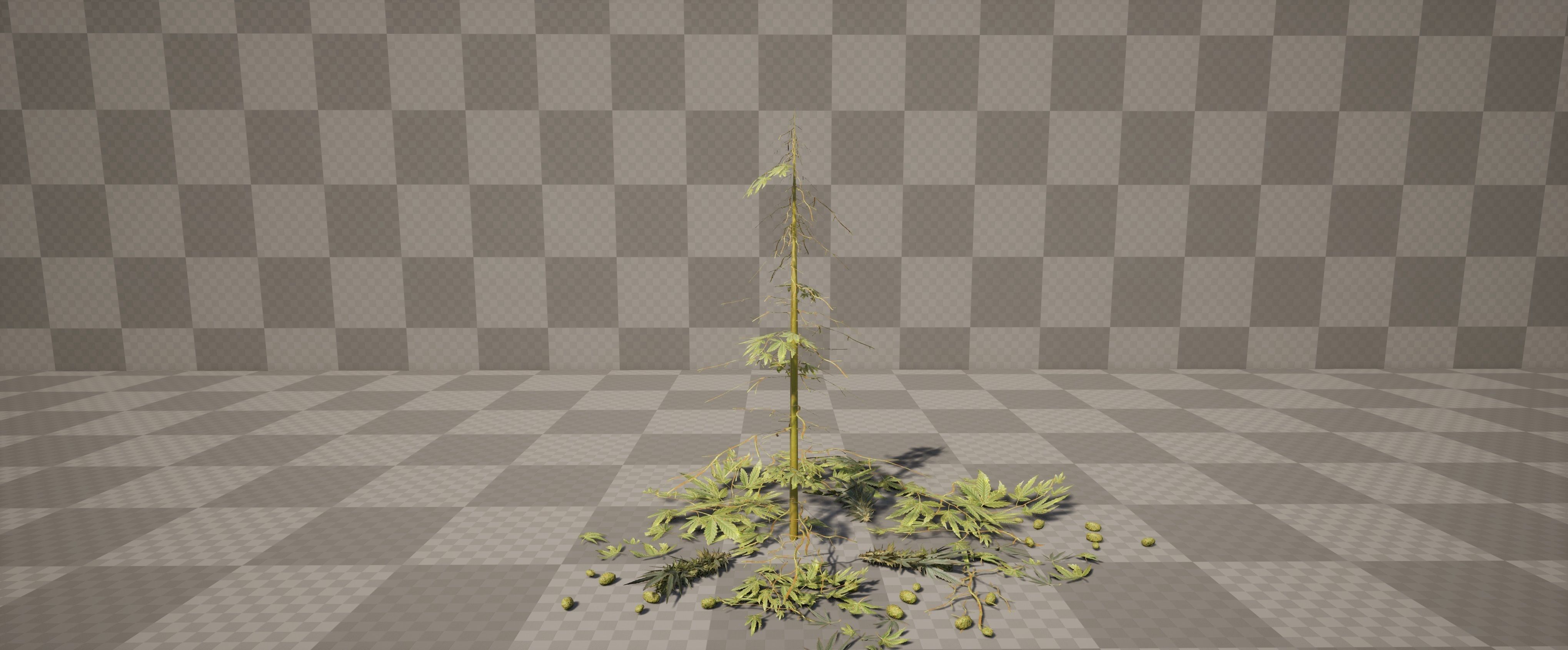 3D model Cannabis Pack Lowpoly VR / AR / low-poly | CGTrader