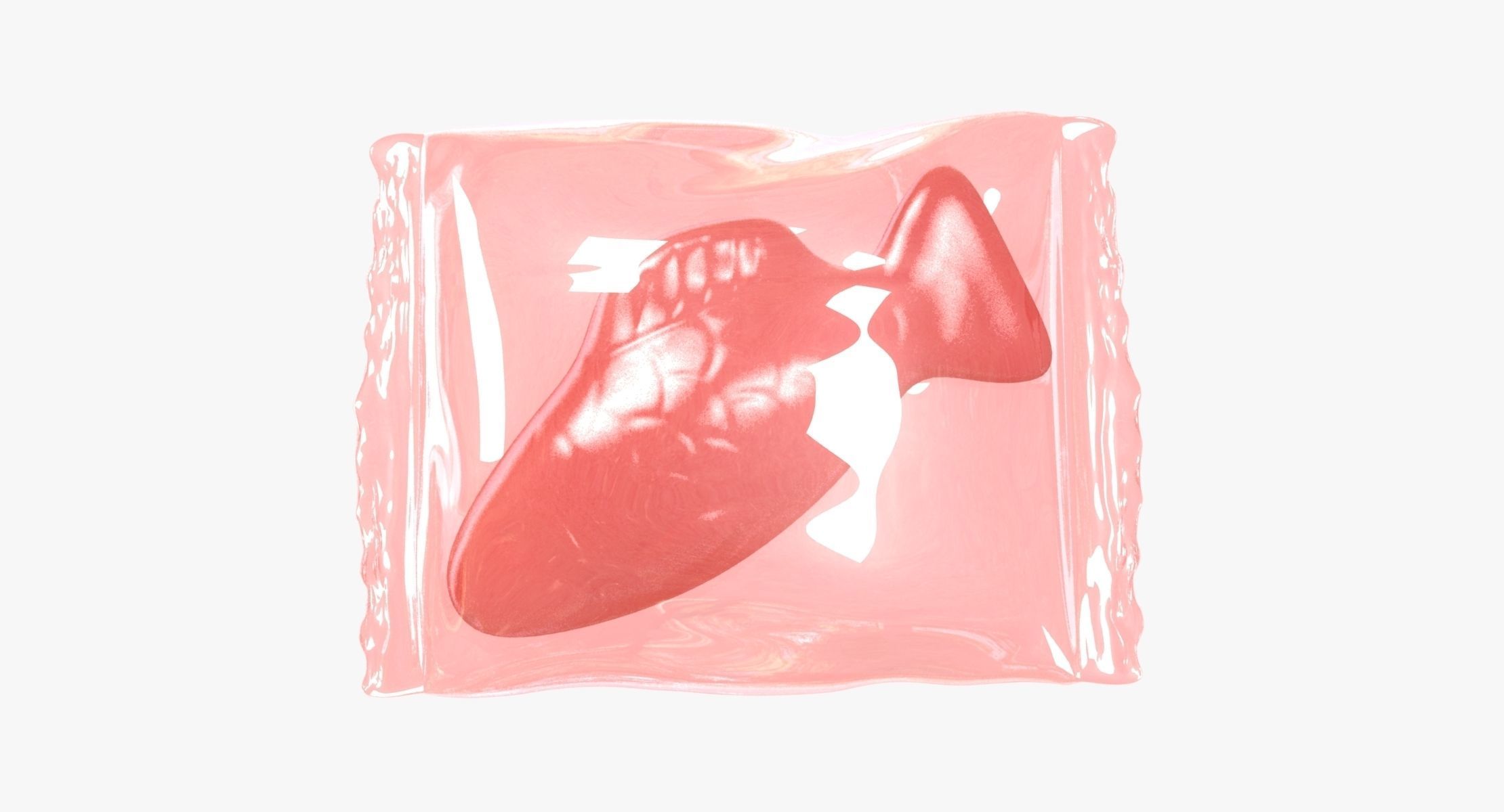 Wrapped Red Fish 3D 3D model | CGTrader