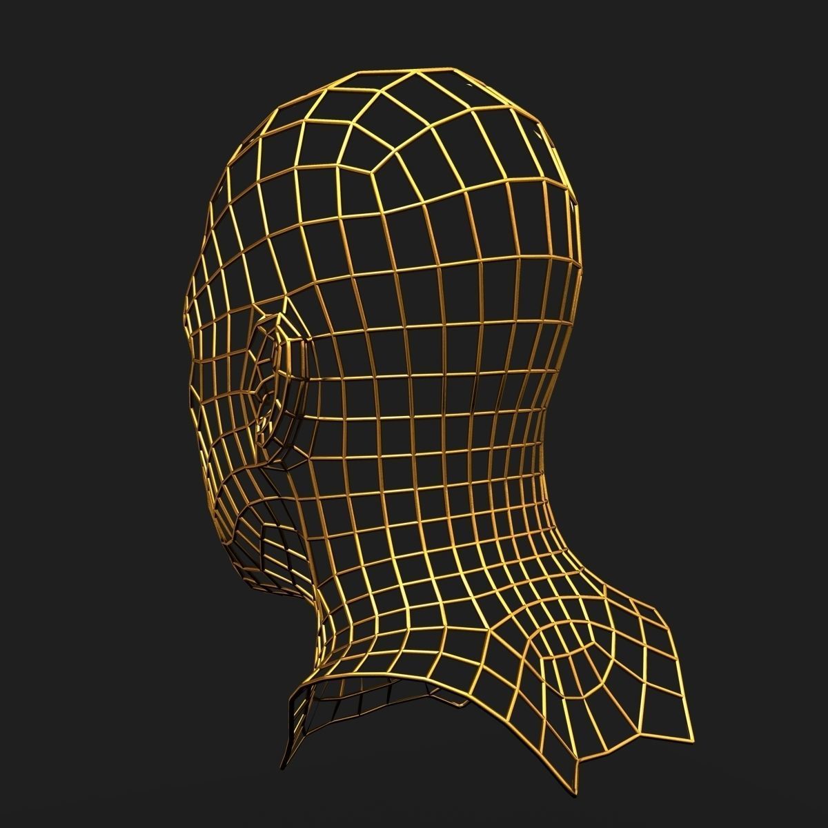 Human Face Wireframe Geometry 3D model | CGTrader
