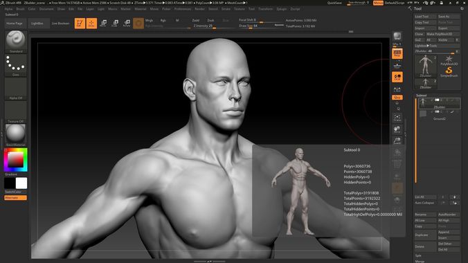 white male 2 3D model | CGTrader