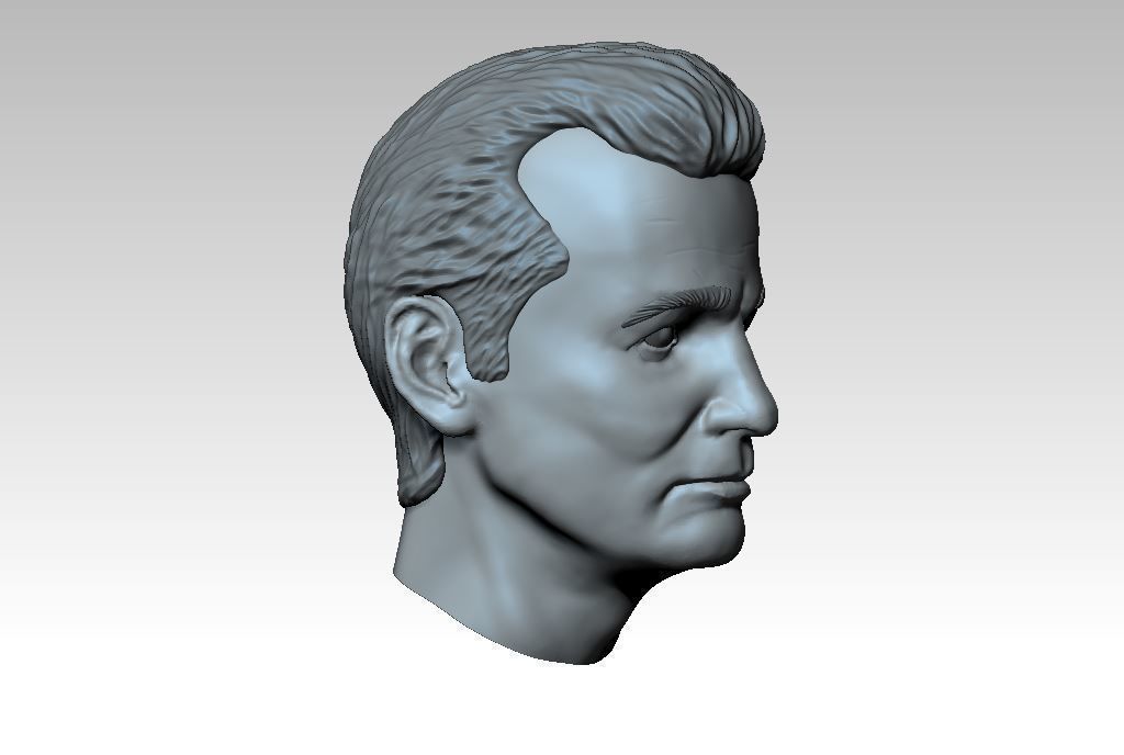 Bill Murray Portrait free 3D model 3D printable | CGTrader