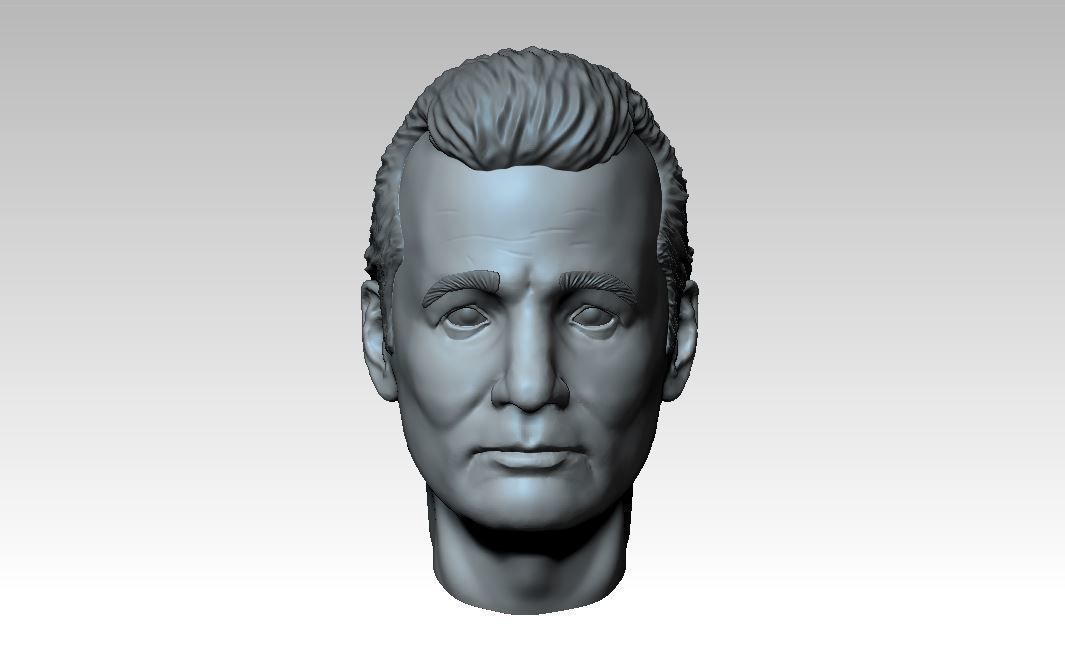 Bill Murray Portrait free 3D model 3D printable | CGTrader