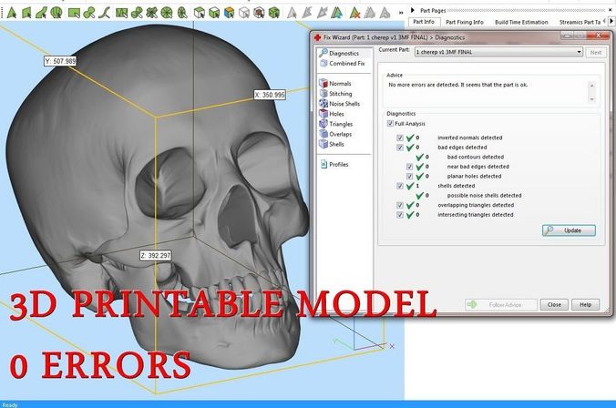 Anatomy Skull 3D model 3D printable | CGTrader