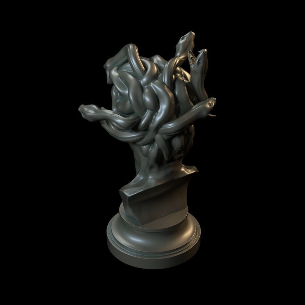 Medusa model 3D model 3D printable | CGTrader