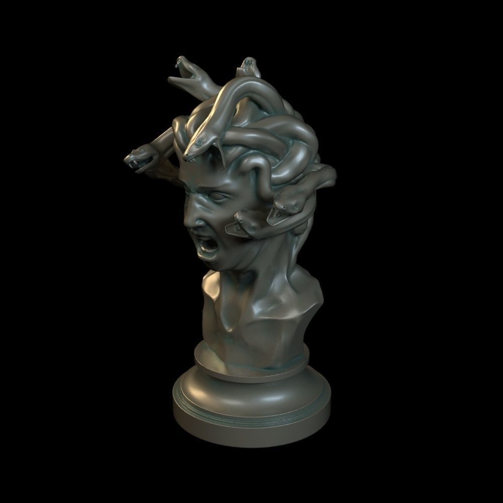 Medusa model 3D model 3D printable | CGTrader