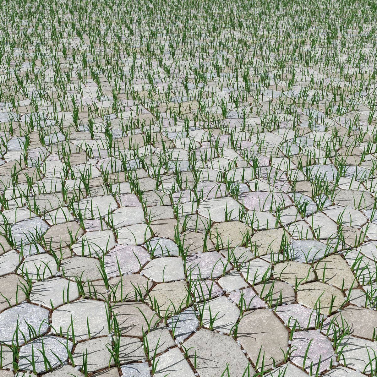 3D model paving02 | CGTrader