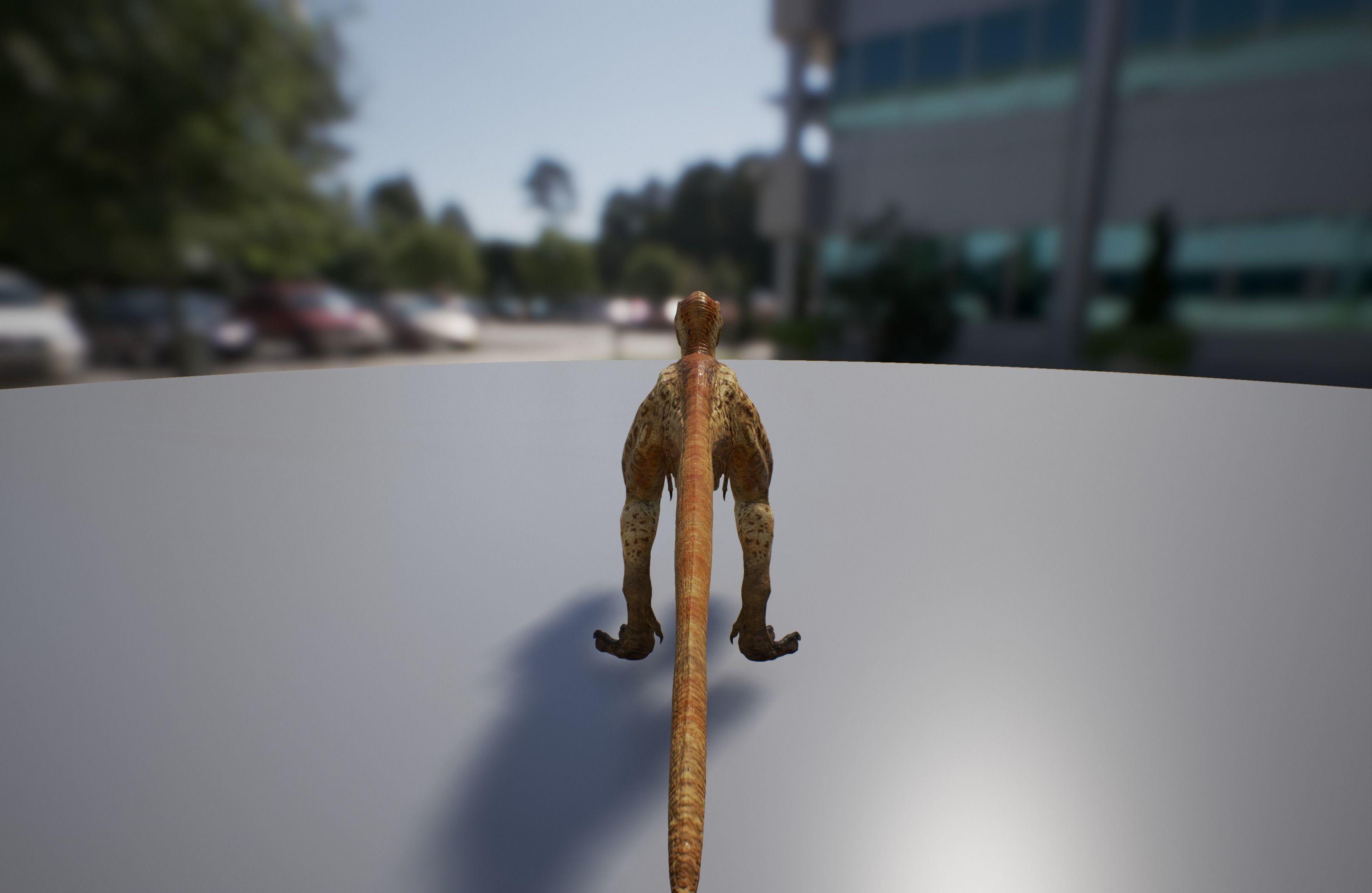 3D model Troodon dinosaur VR / AR / low-poly | CGTrader