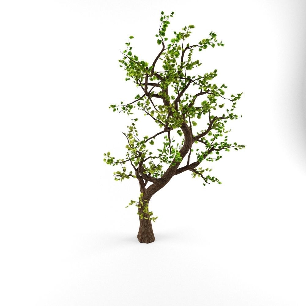 3D model Animated Tree VR / AR / low-poly animated | CGTrader