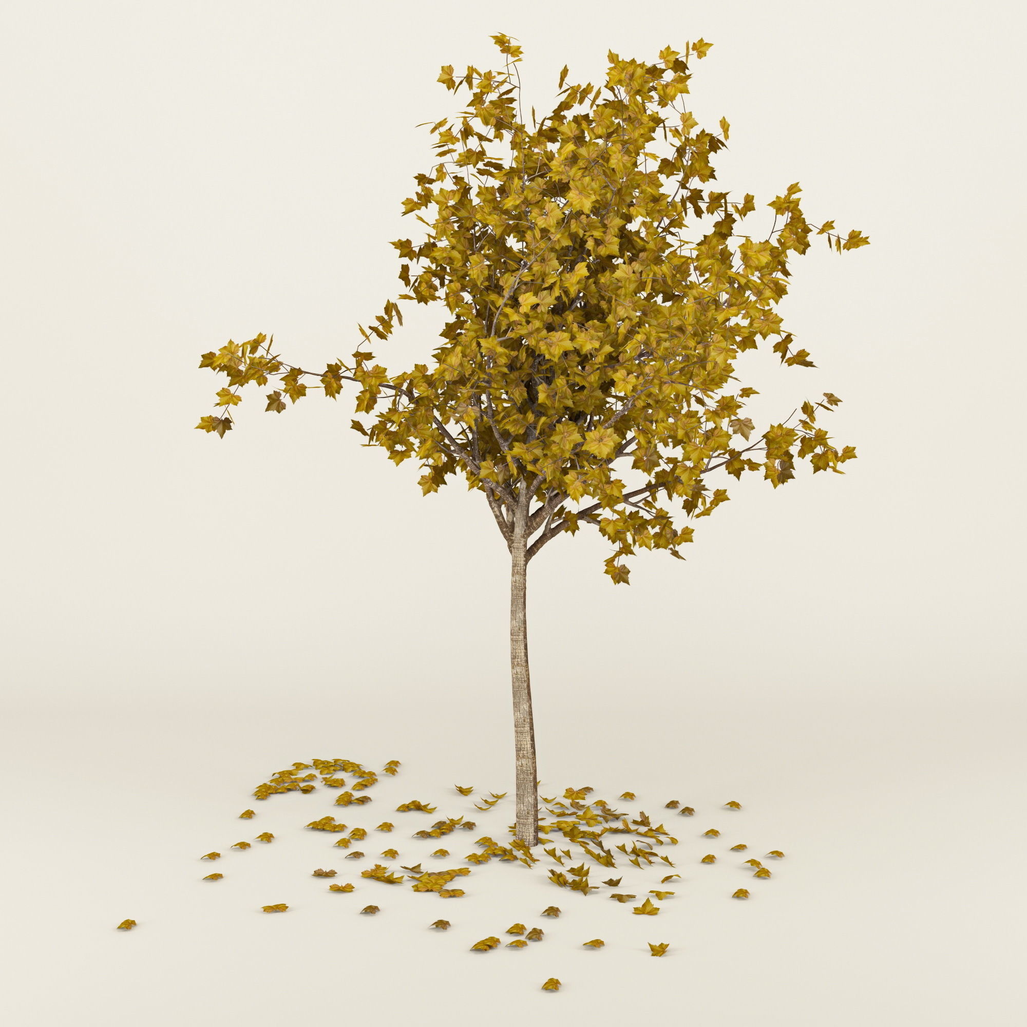 Autumn Tree 3D model | CGTrader