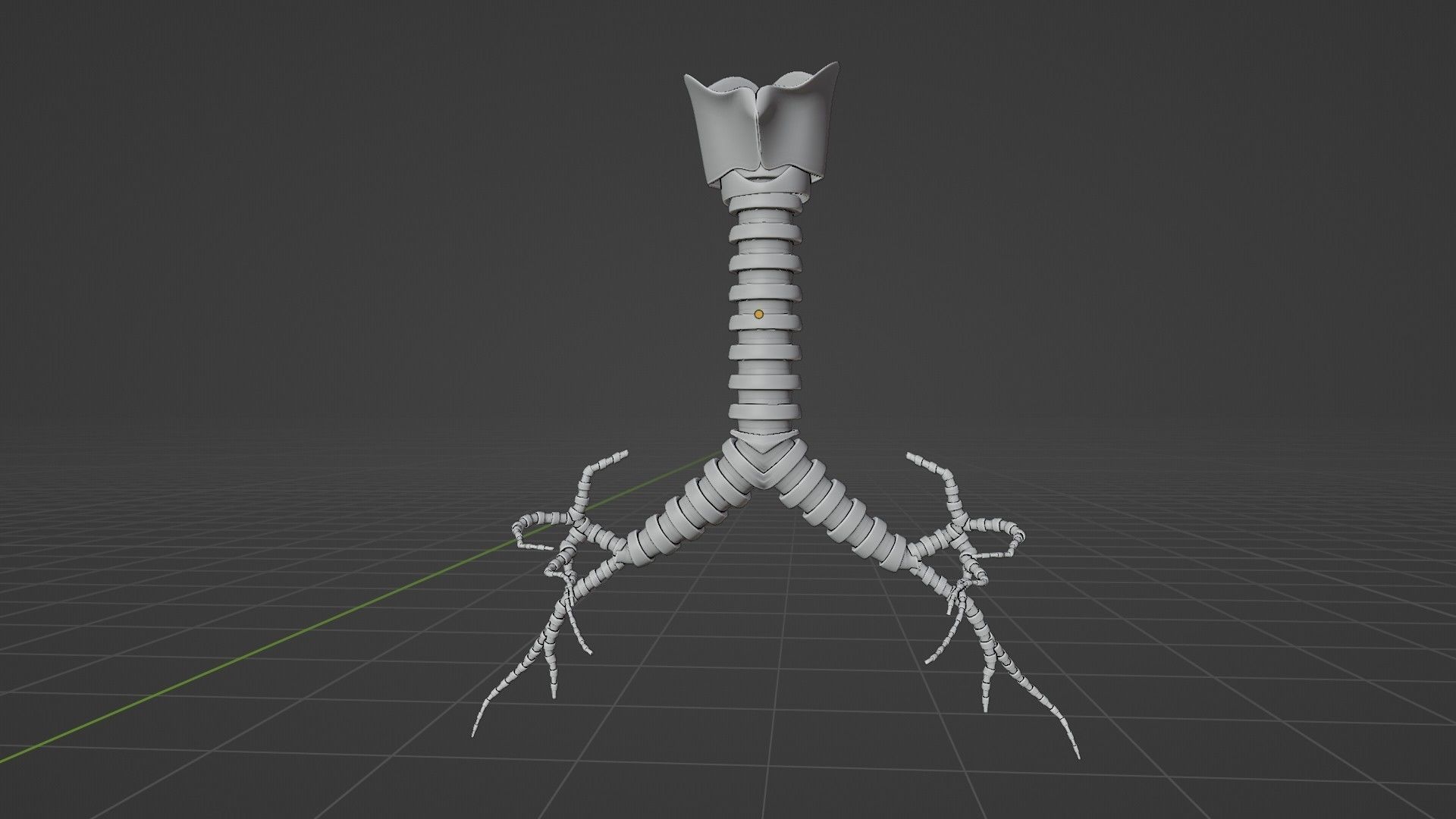 Respiratory System 3D model | CGTrader