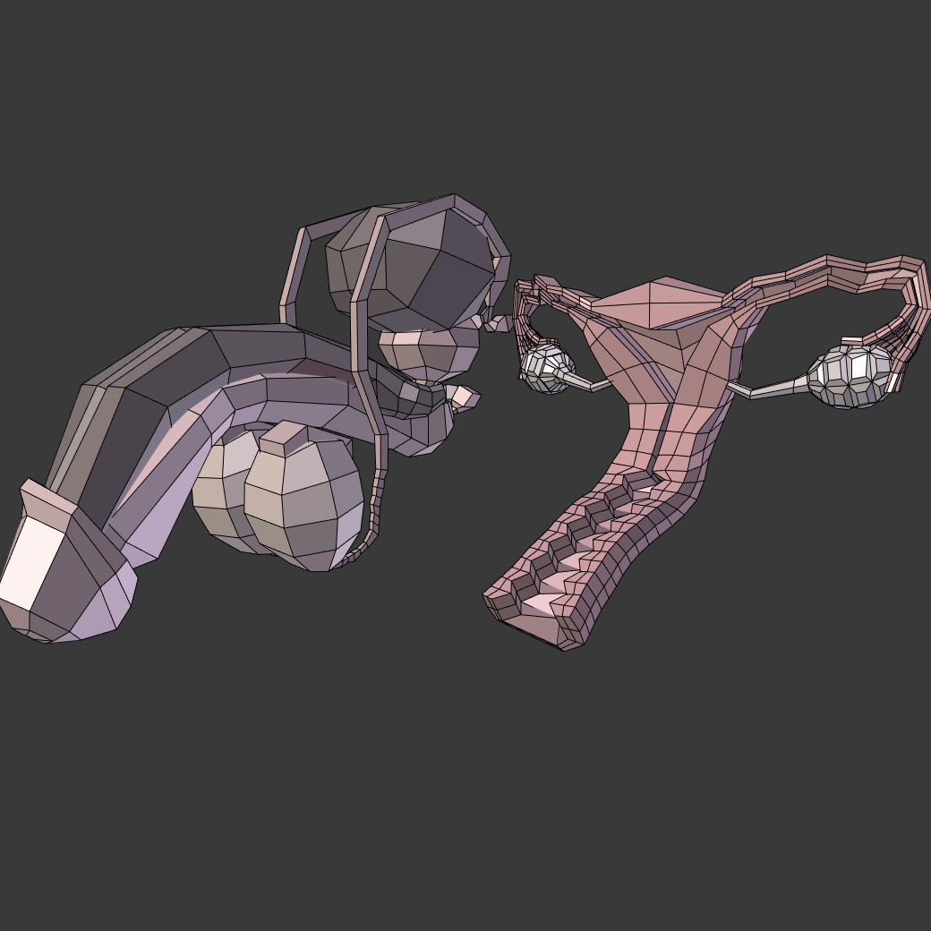 3D model Reproductive System Male and Female VR / AR / low-poly | CGTrader