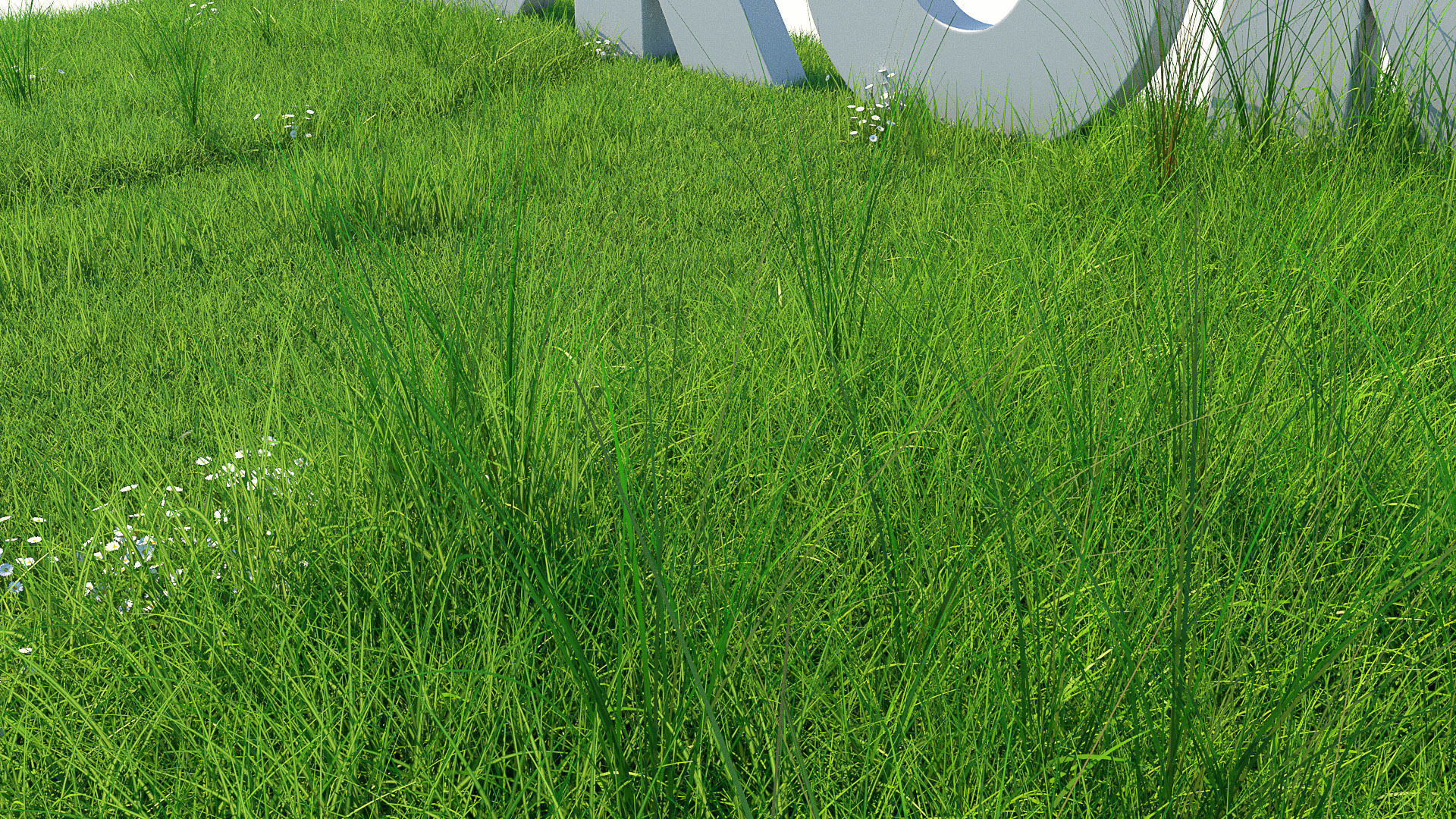 Grass Kit III for C4D and Corona render 3D model rigged | CGTrader