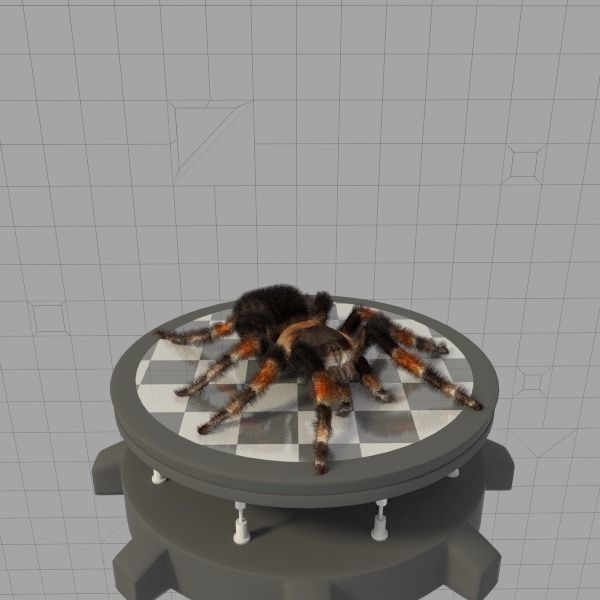 Insects Pack Ultra 3D model animated rigged | CGTrader