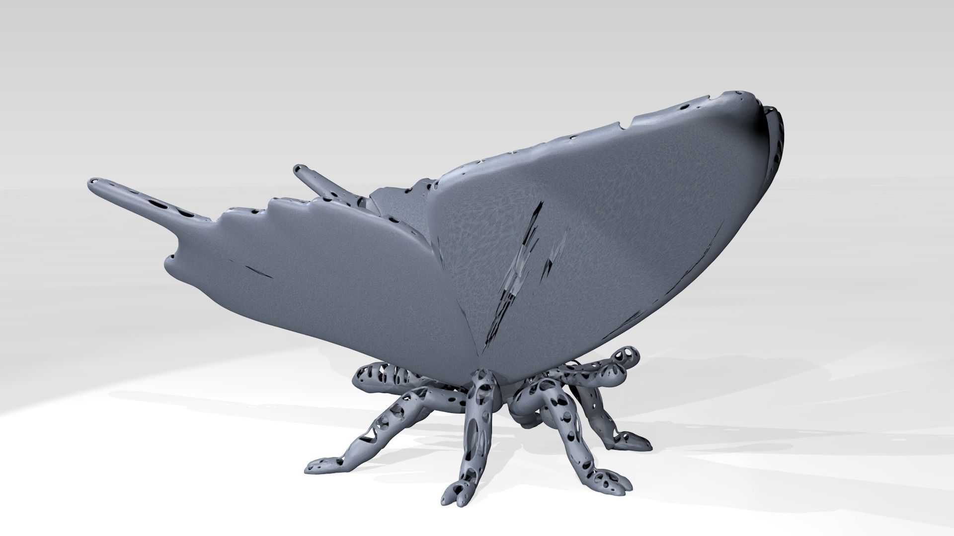 Butterfly Dust Voronoi 3D model | CGTrader