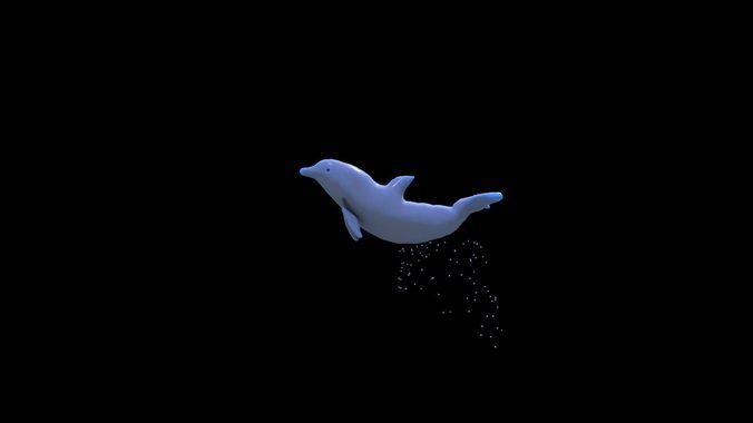 Dolphin Jumping 3D model animated | CGTrader
