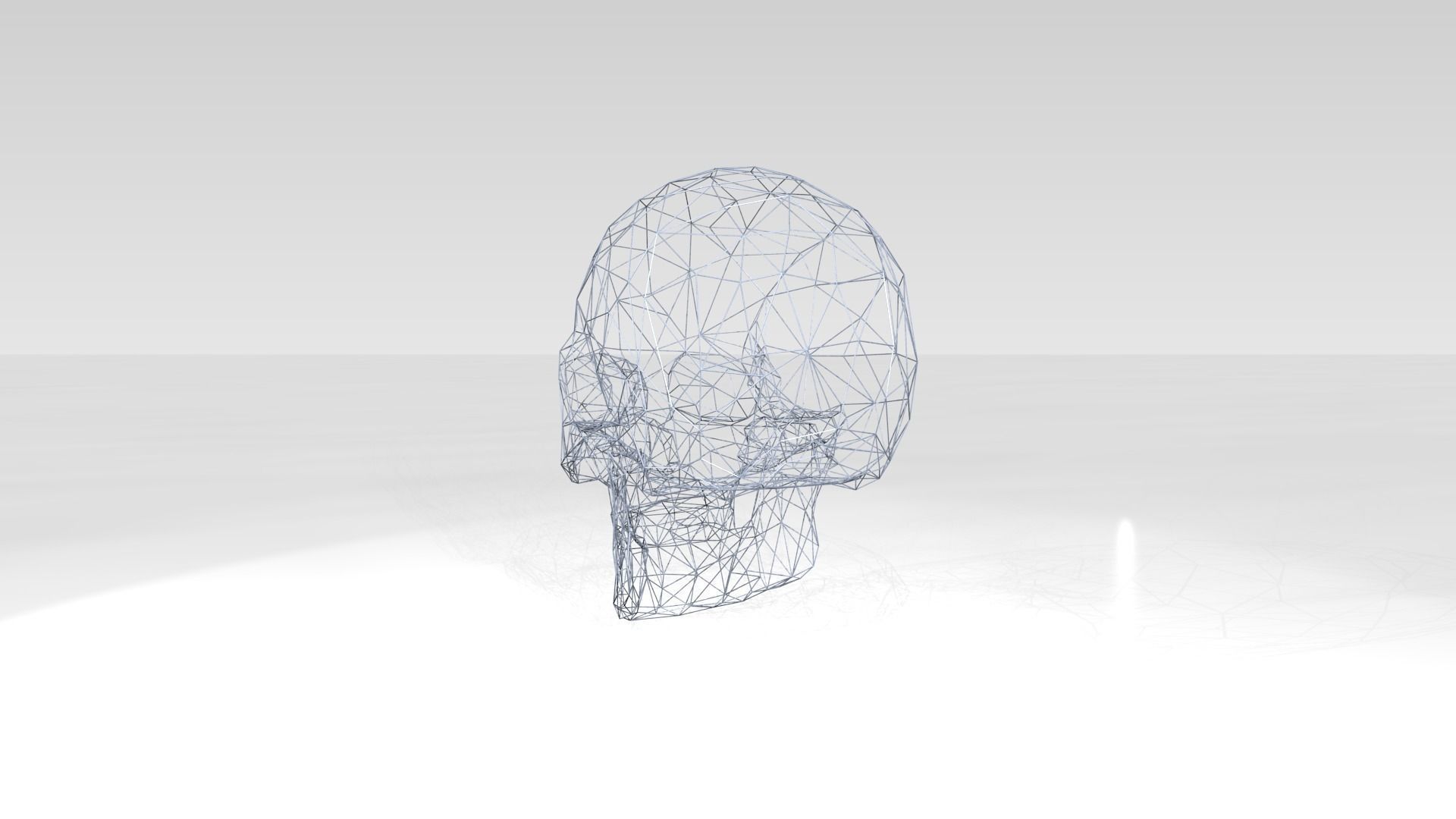 Skull Wireframe 3D model | CGTrader