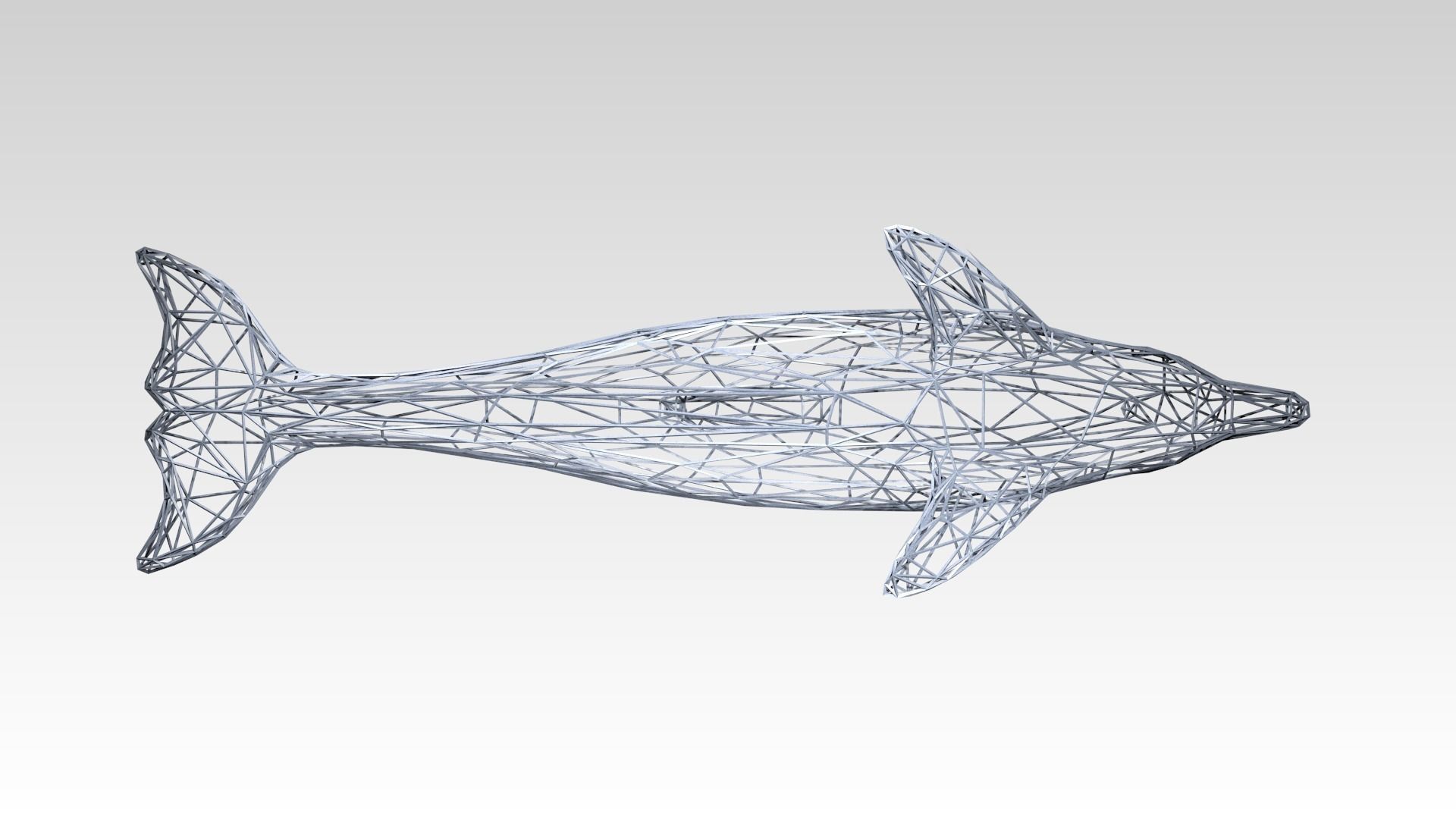 Dolphin Wireframe 3D model | CGTrader
