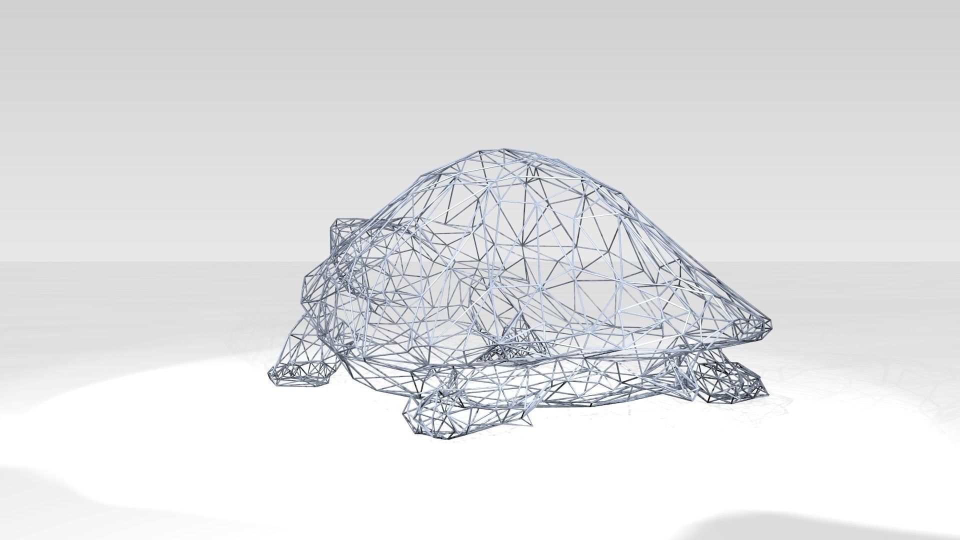 Turtle Wireframe 3D model | CGTrader