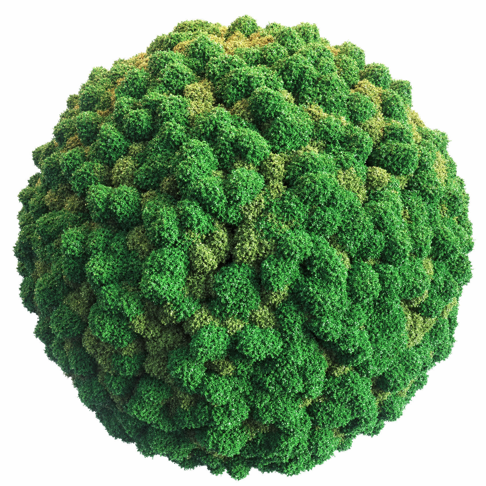 Moss Set 3D model | CGTrader