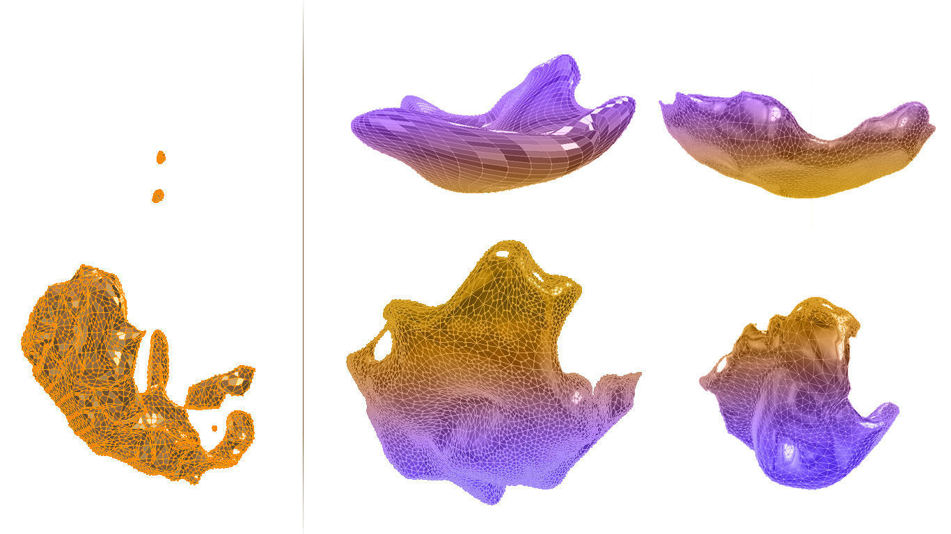 FLUID Delicate vortex 3D model | CGTrader