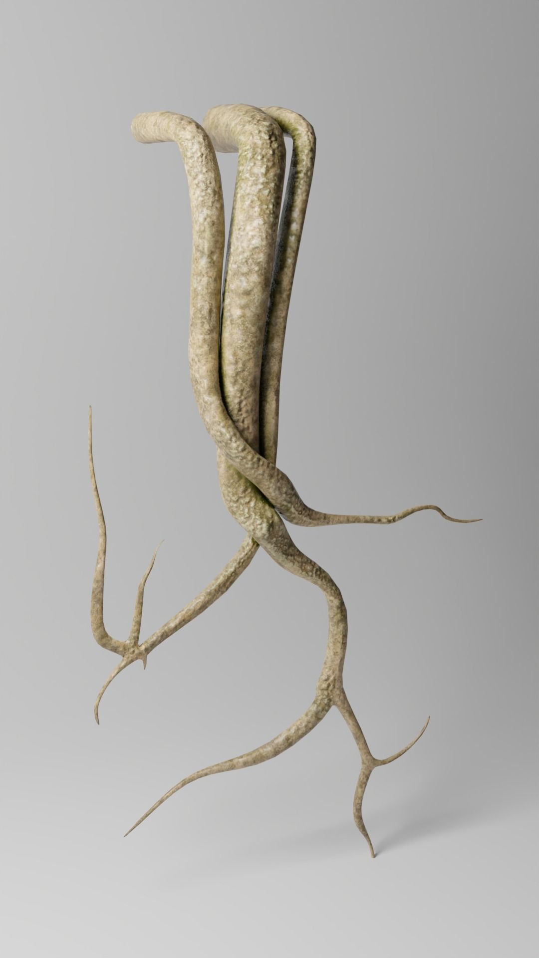 3D model Roots or Vines Pack and 3D printable STL VR / AR / low-poly ...