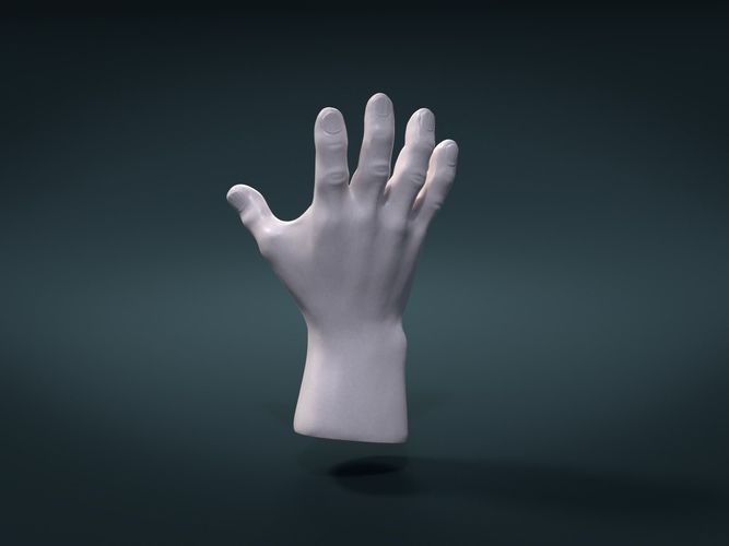 High Poly Hand 3D model 3D printable | CGTrader