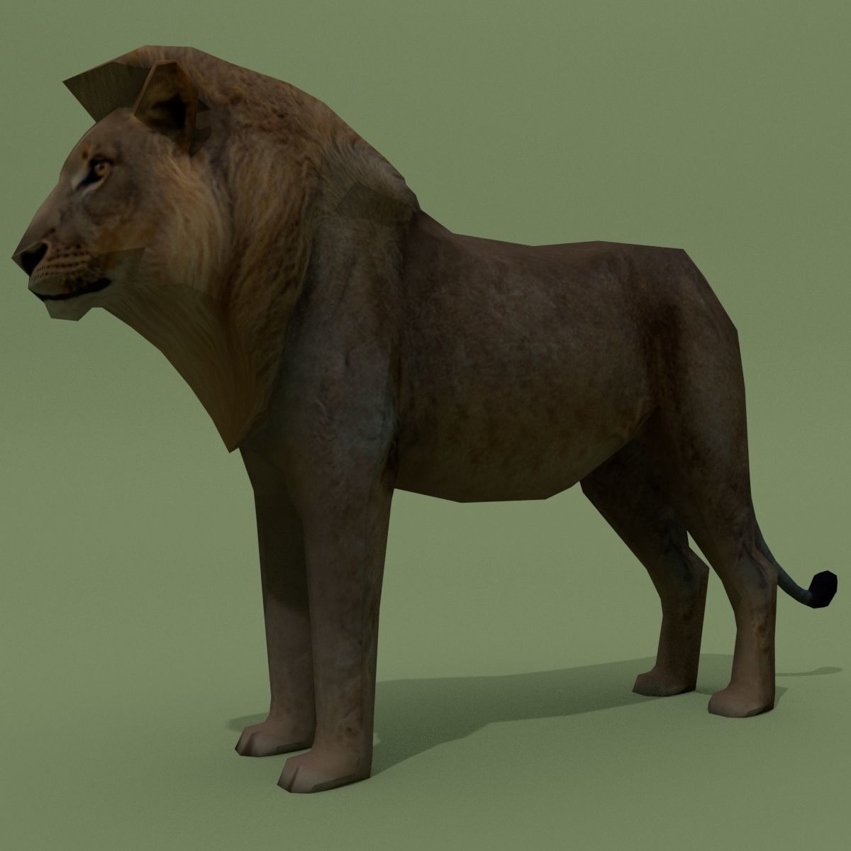3D model LowPoly Lion VR / AR / low-poly | CGTrader