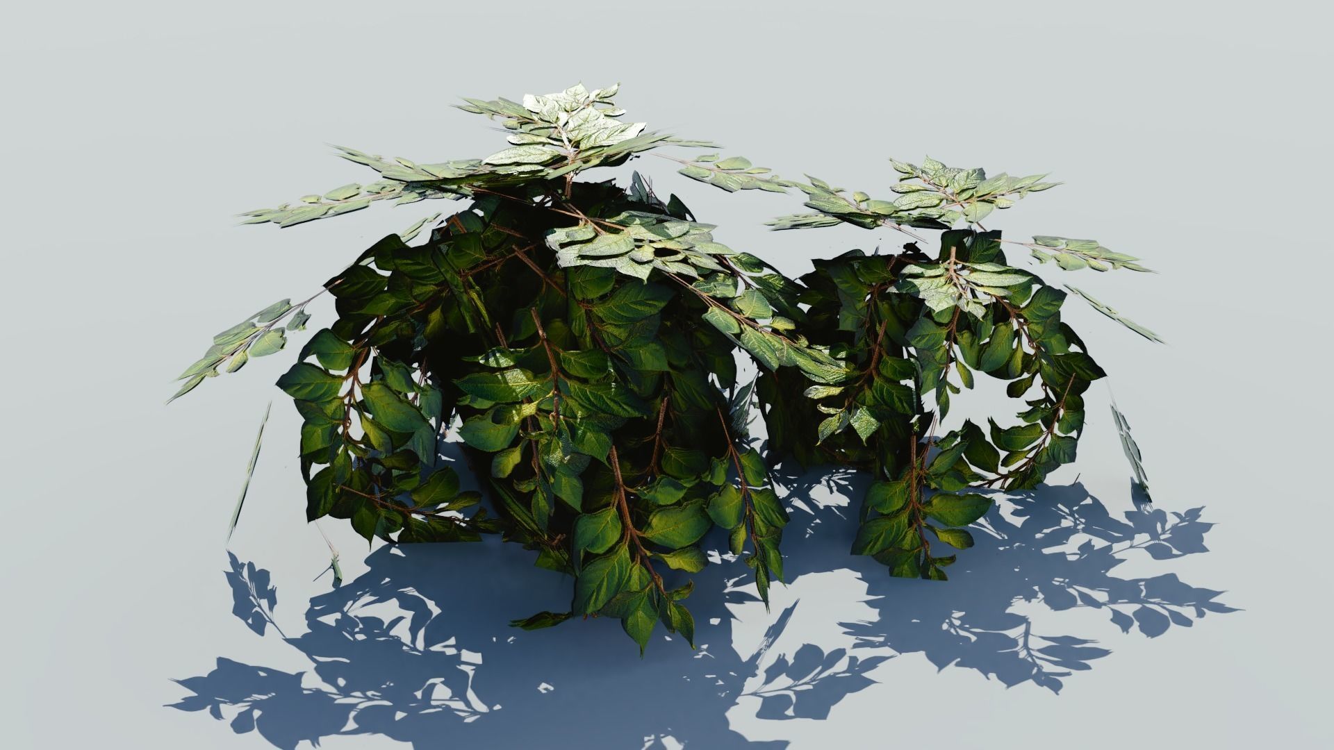 3D model Luxury Bush VR / AR / low-poly | CGTrader