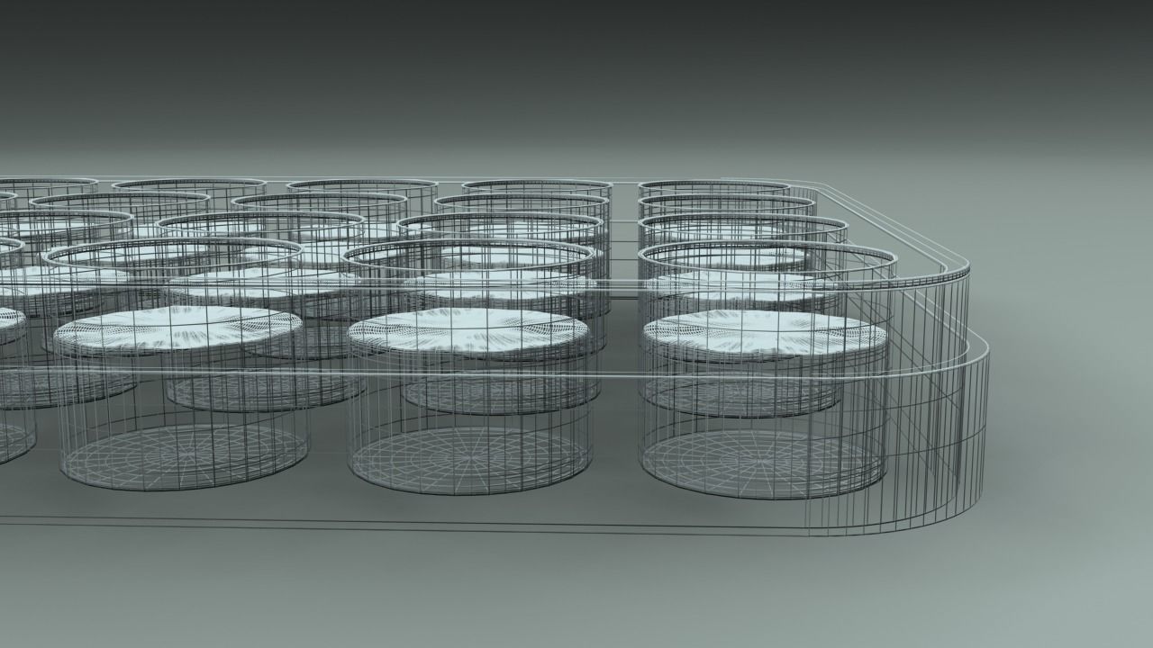 24 Wells Plate 3D model | CGTrader