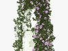 Rose climbing 3D model | CGTrader