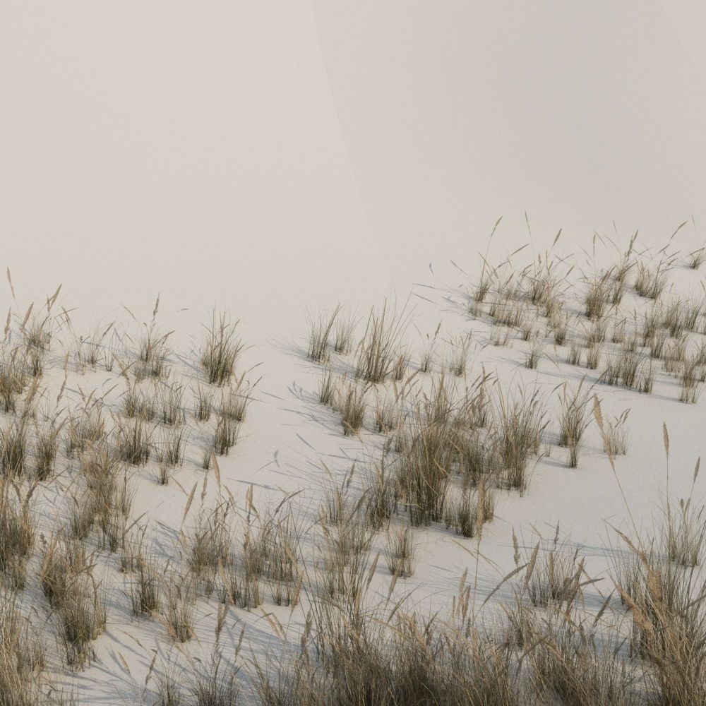 3d Model Beach Grass Pack B Vr Ar Low Poly Cgtrader
