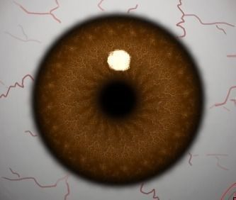 Alpha Eye free 3D Model ZTL - CGTrader.com