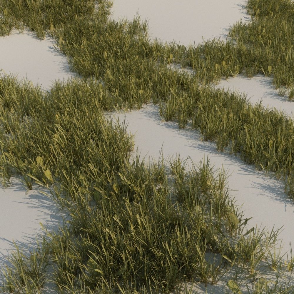 3D model Grass pack A VR / AR / low-poly | CGTrader