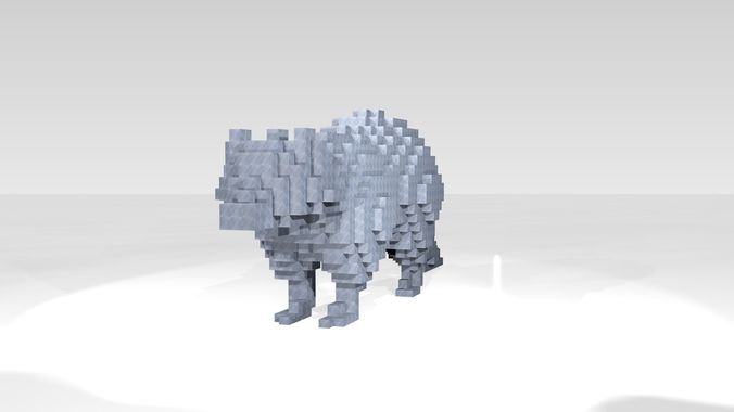 Raccoon Voxel 3D model | CGTrader