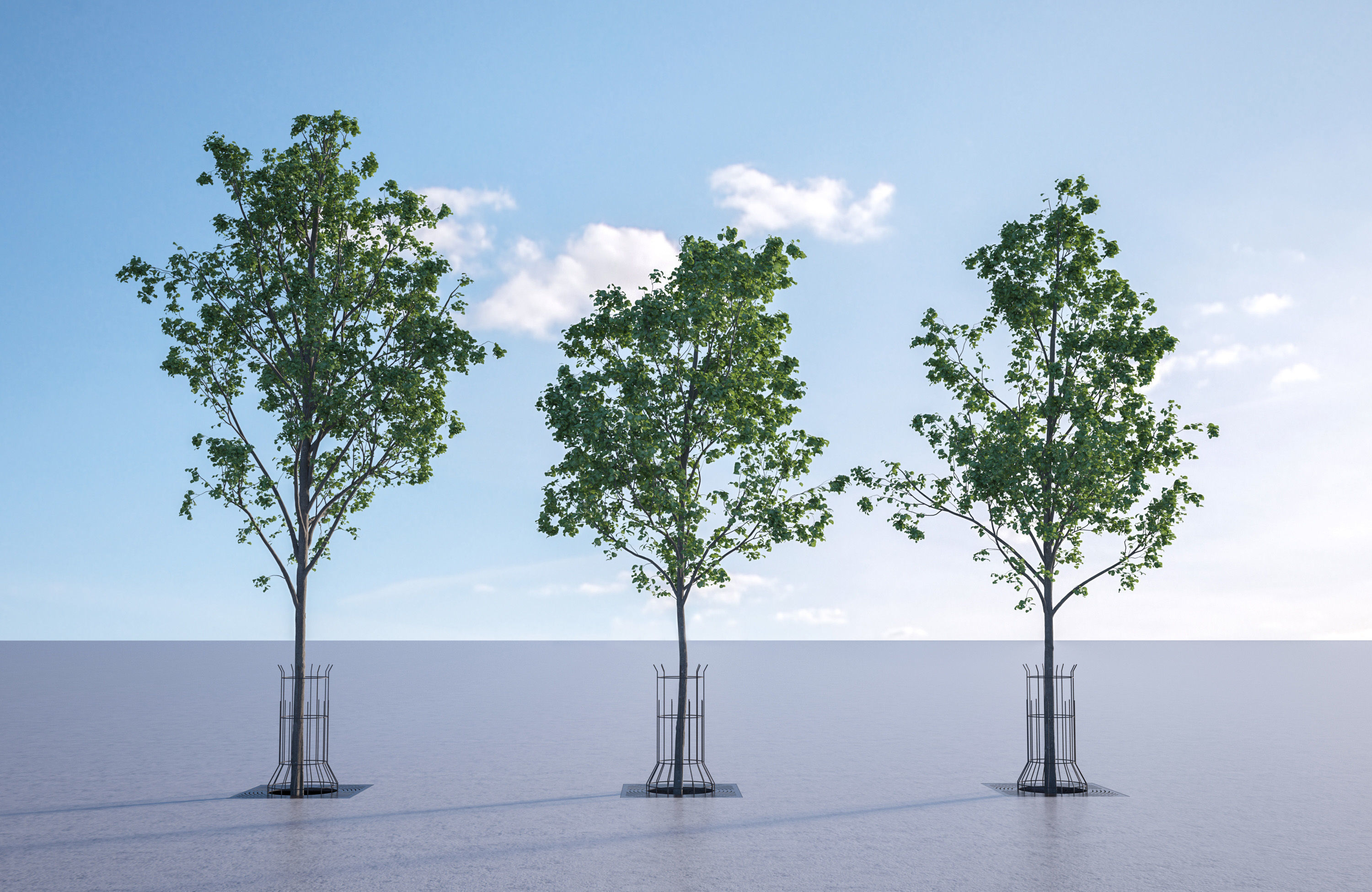 Animated trees for architectural visualization 3D model animated | CGTrader