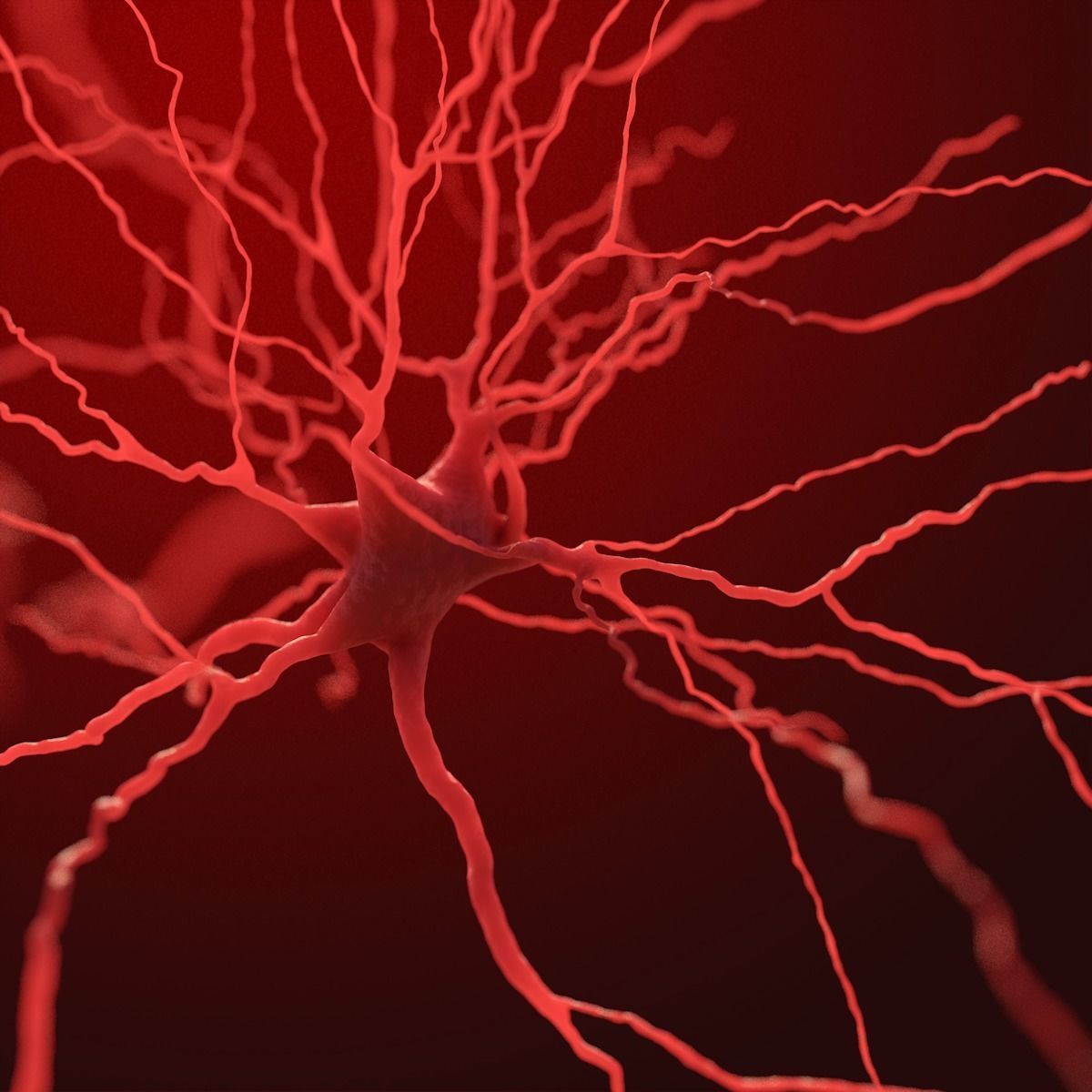 Dendrite neuron nerve cell 3D model | CGTrader