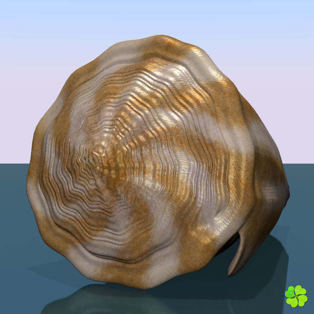 3D model Conus shell low poly VR / AR / low-poly | CGTrader