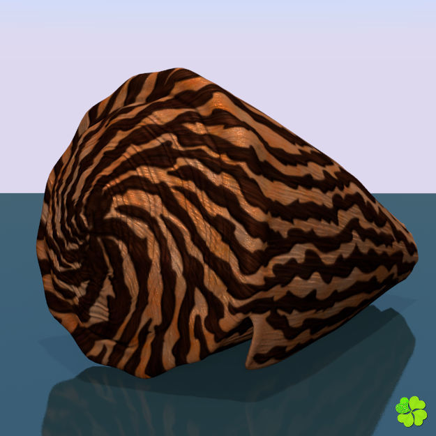 3D model Conus shell low poly VR / AR / low-poly | CGTrader