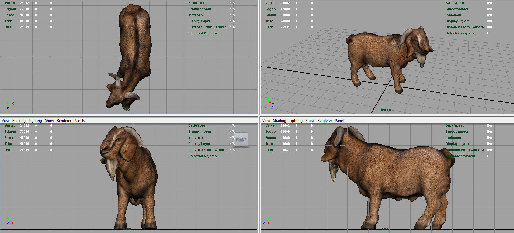 3D model Domestic Goat VR / AR / low-poly | CGTrader