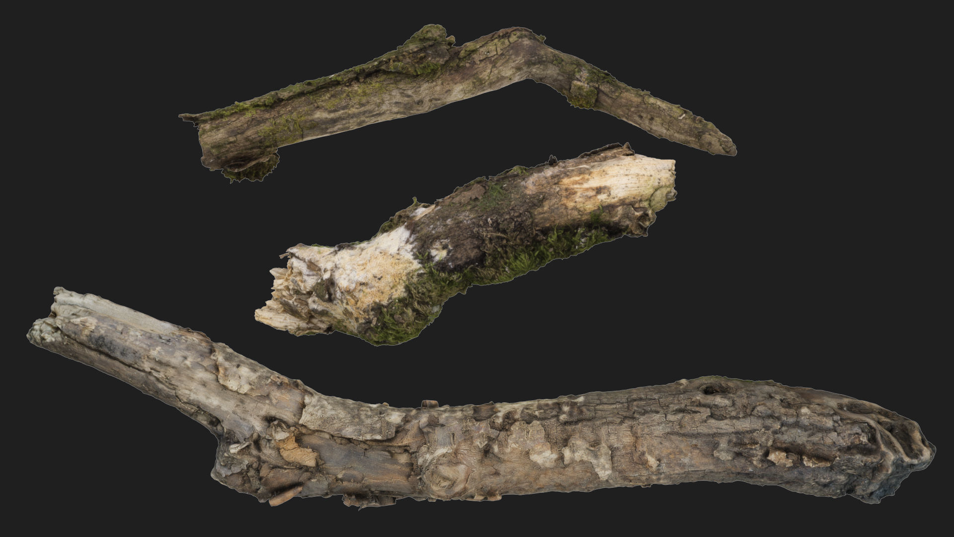 3D model Moss covered sticks Vol 1 VR / AR / low-poly | CGTrader