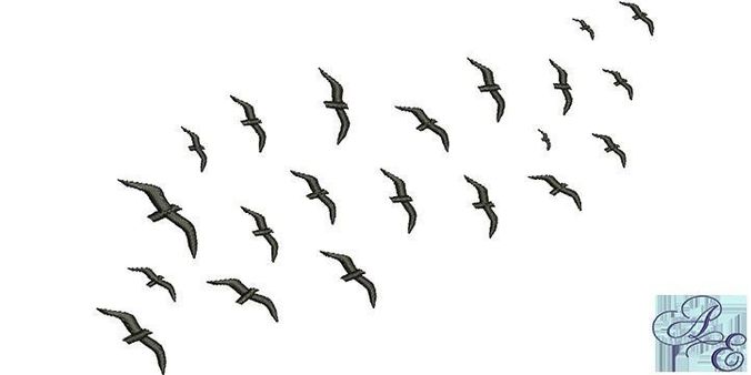 birds flock of seagulls flying in sky free 3D model | CGTrader
