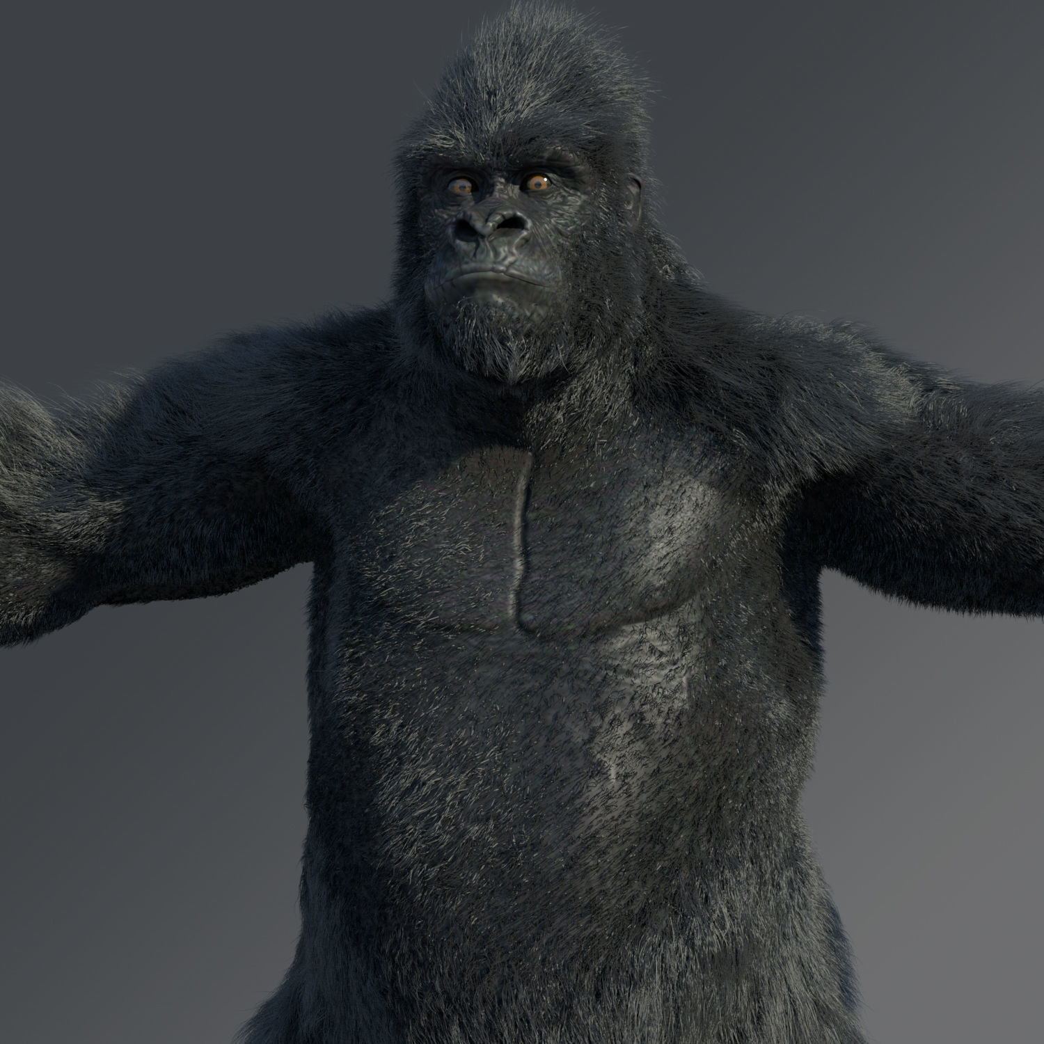 Gorilla 3D model | CGTrader