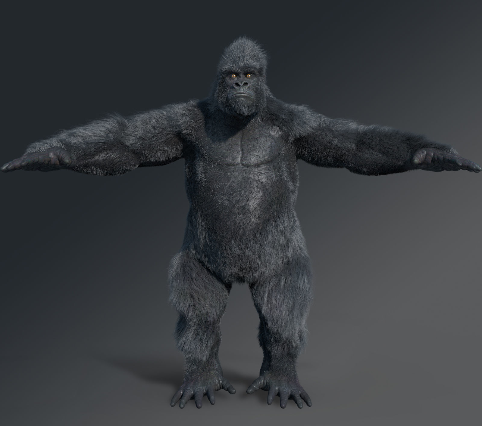Gorilla 3D model | CGTrader